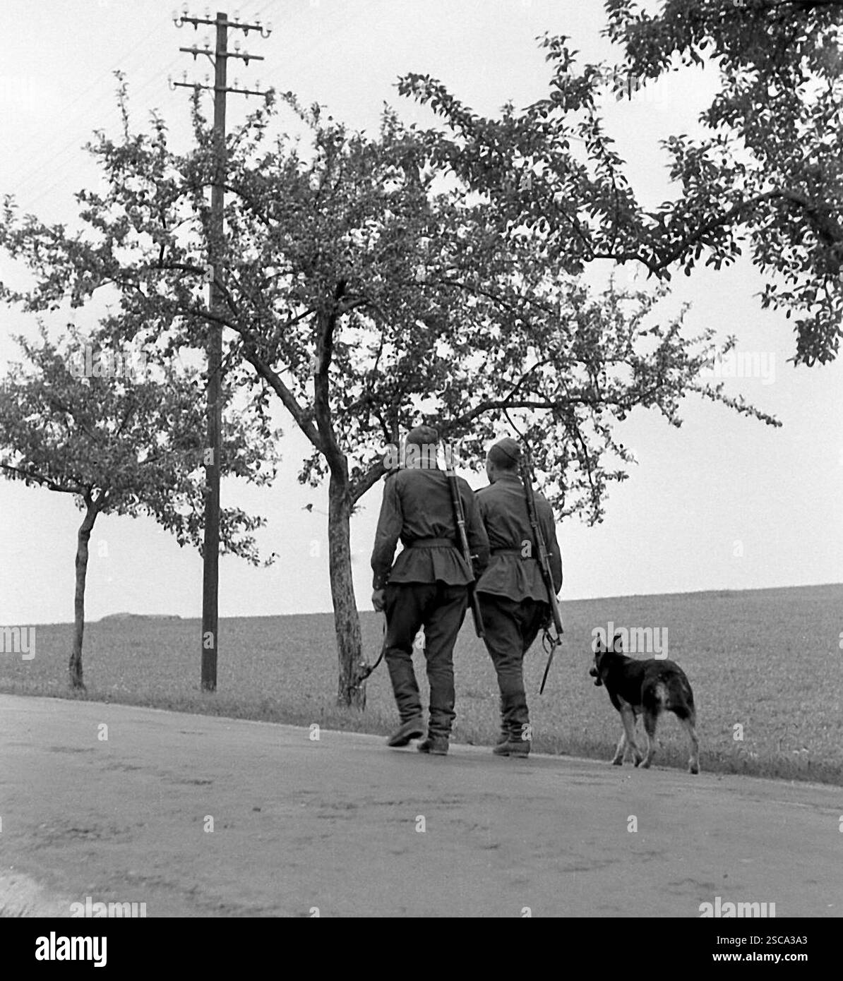 Two Soviet soldiers with guns and a dog on a street in Saxon ...