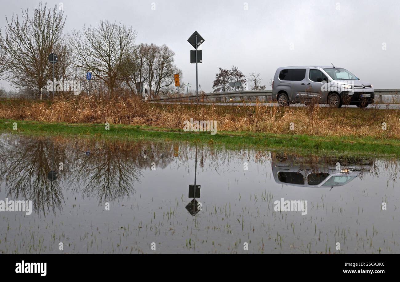 Rostock, Germany. 06th Feb, 2025. Small lakes have formed on a meadow ...