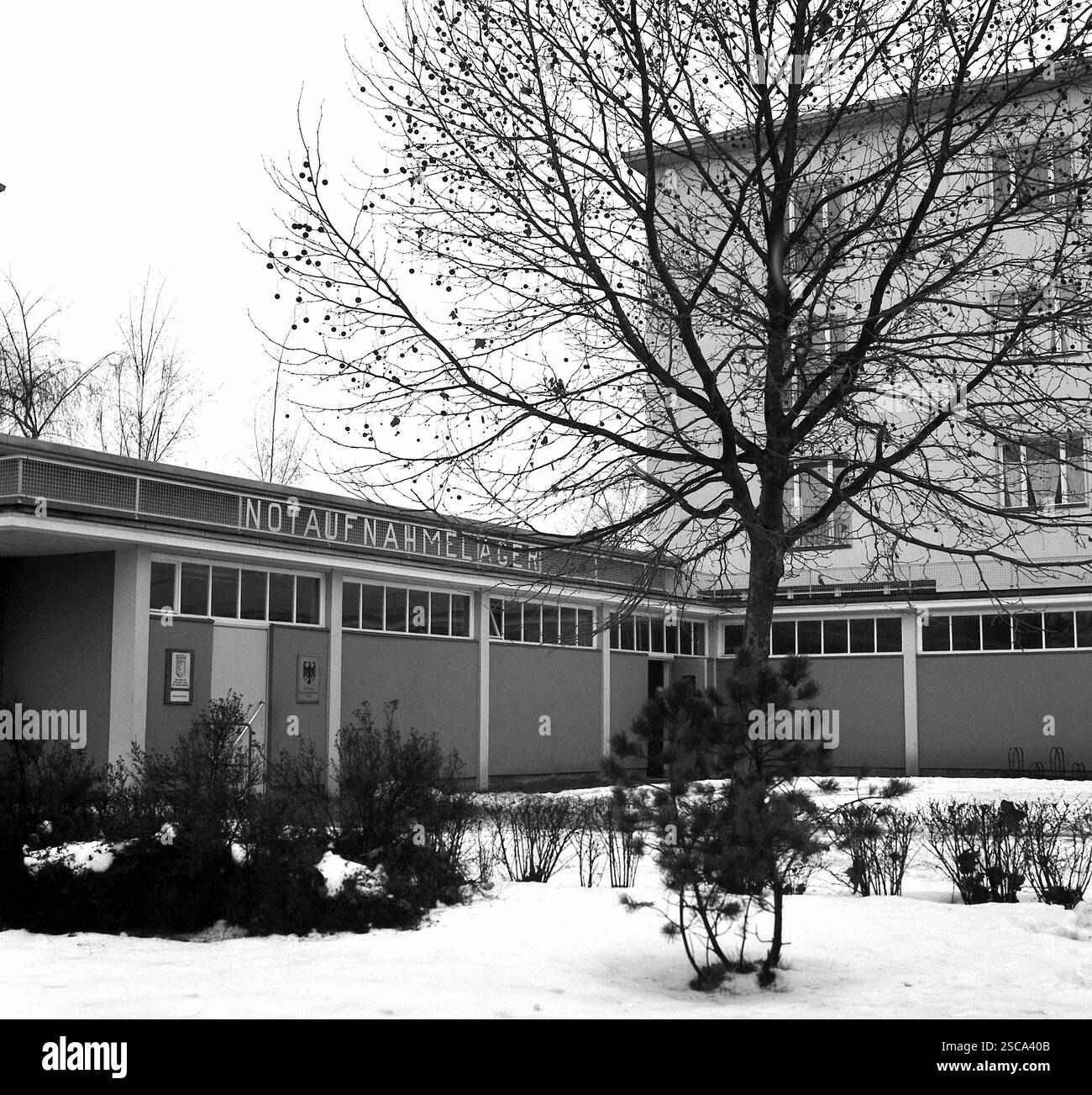Refugee camp in Berlin-Marienfelde during the wintertime Stock Photo ...