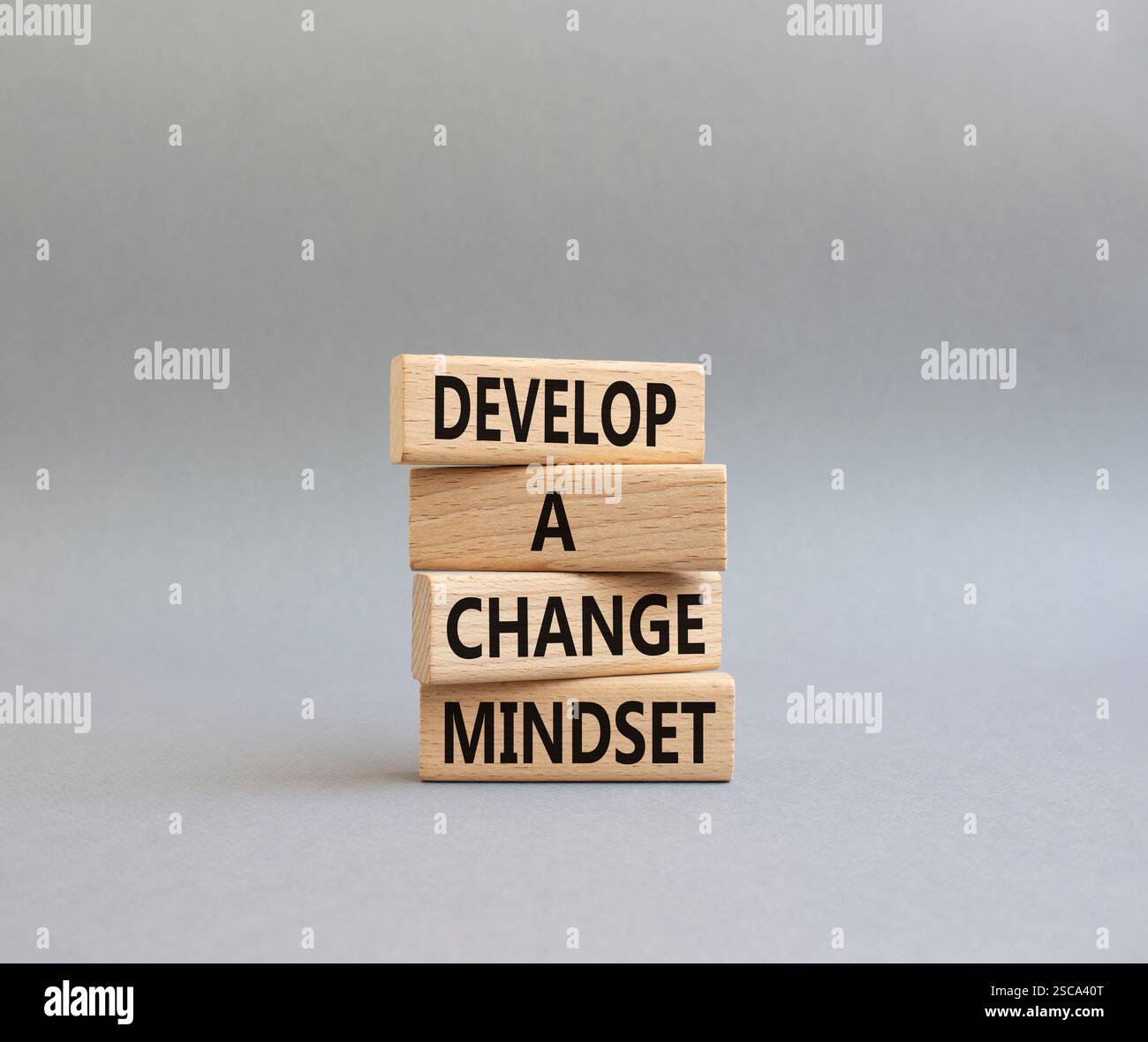 Develop a change mindset symbol. Concept words Develop a change mindset ...
