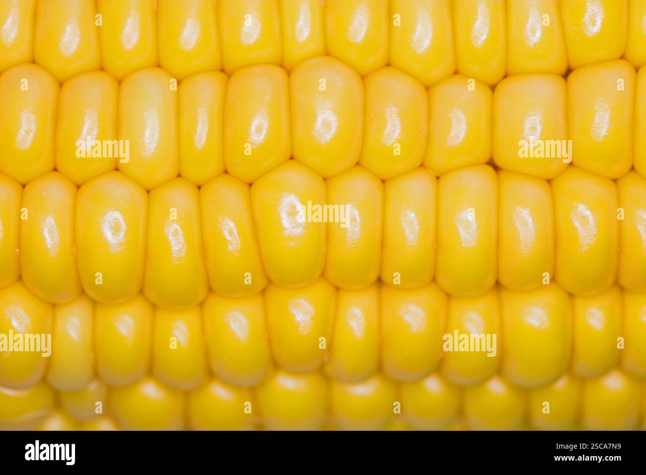 Corn macro large grains as background texture Stock Photo - Alamy