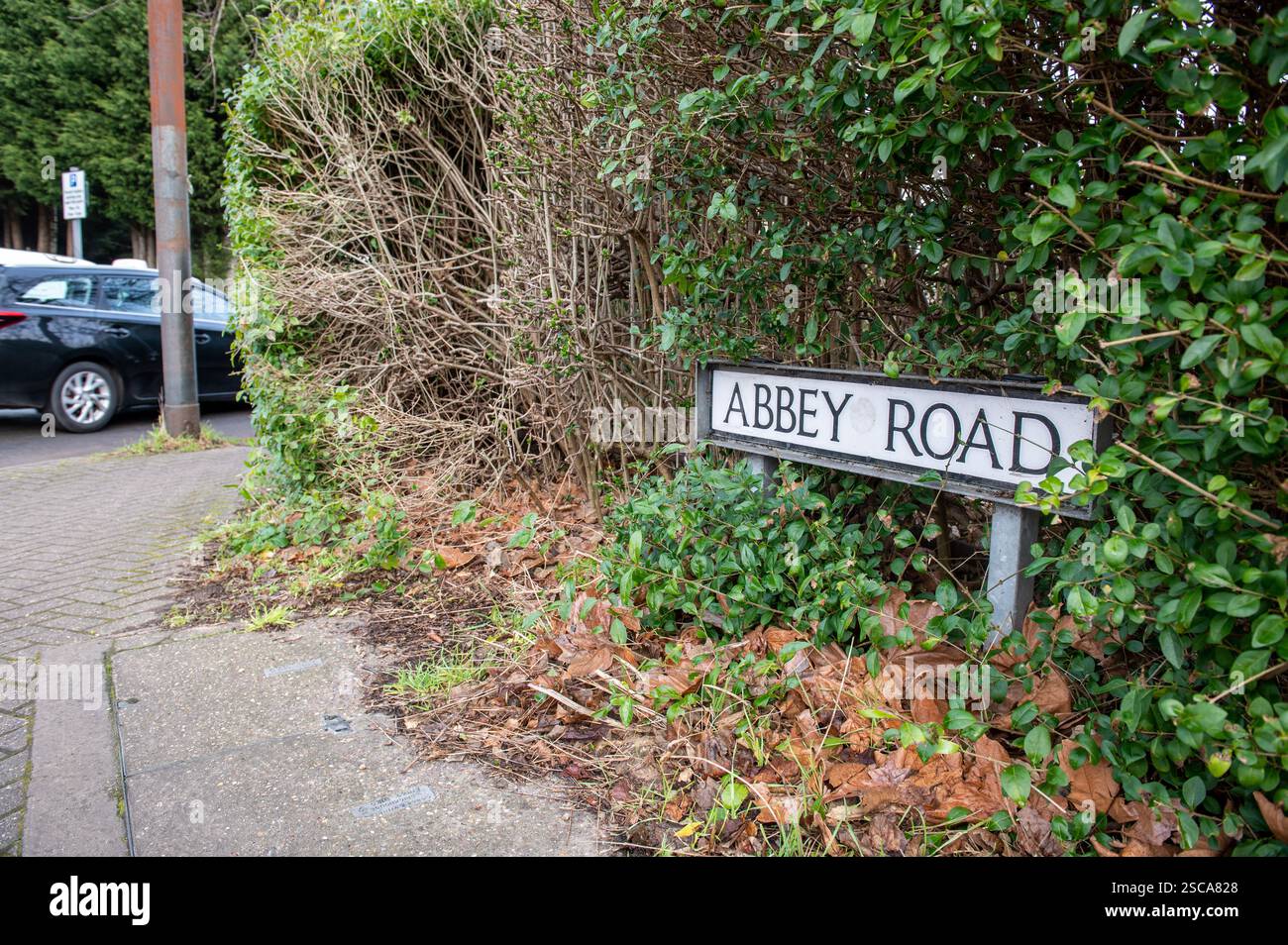 Location of mystery bananas which appear regularly on the corner of ...