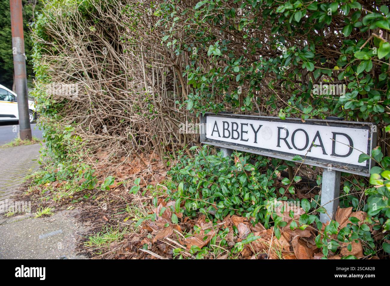 Location of mystery bananas which appear regularly on the corner of ...