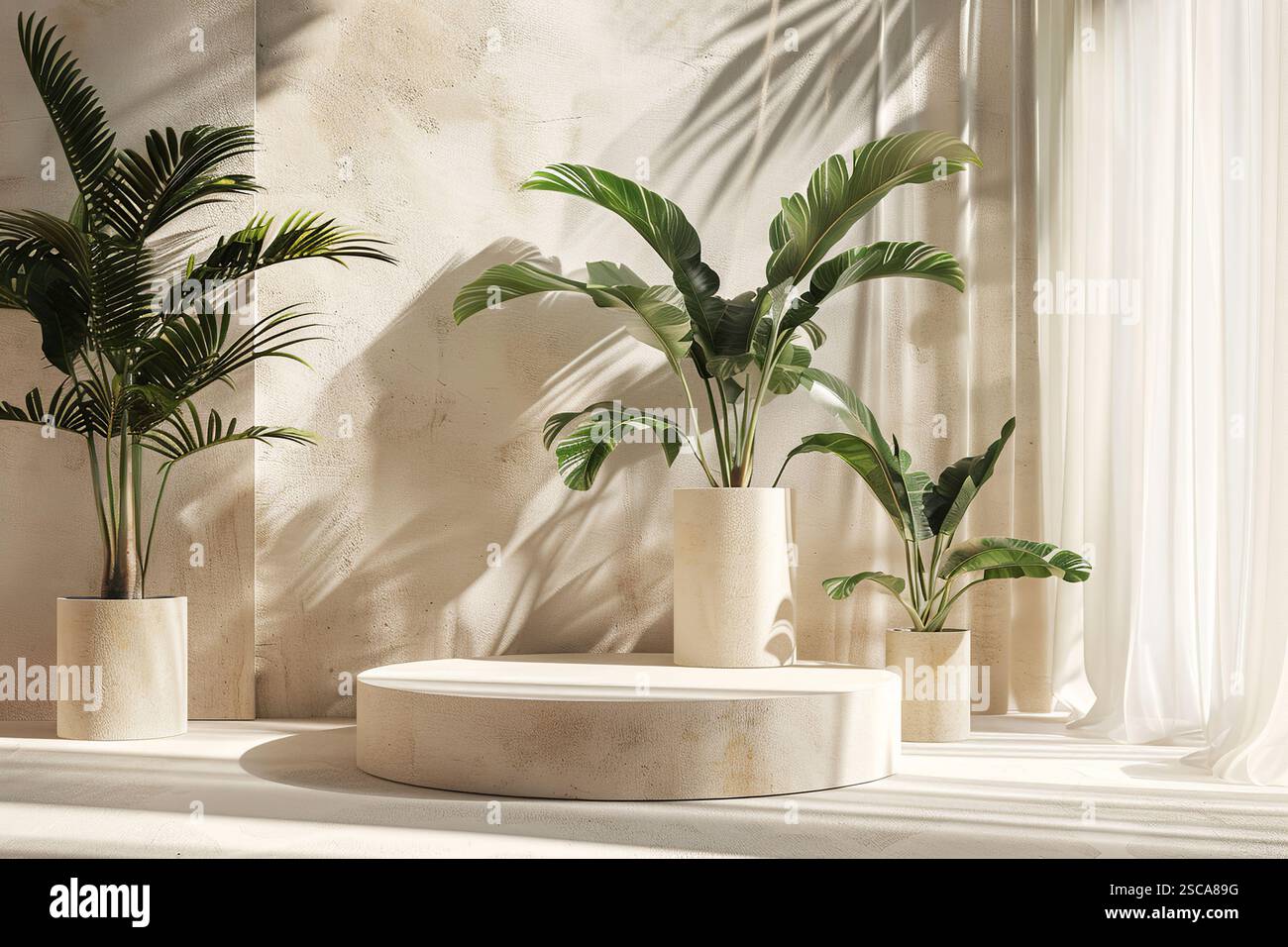 Podium beauty minimal display stage with white wall and large round ...