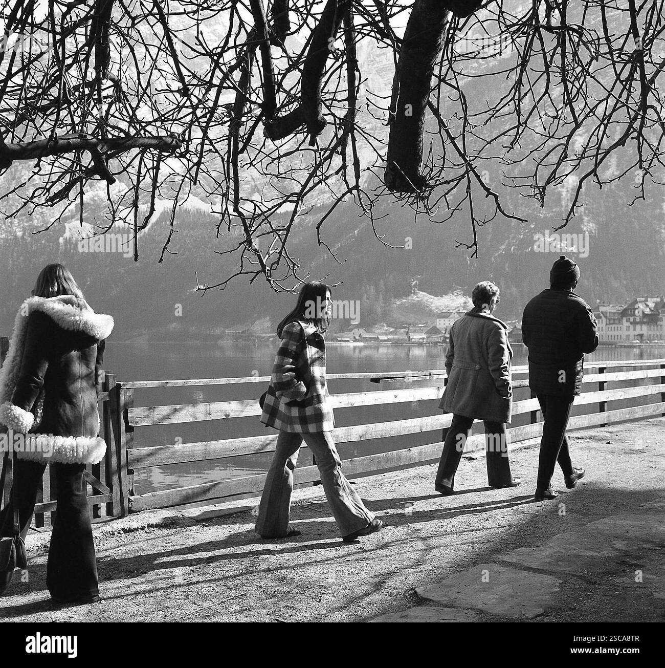Family enjoying the sun and taking a walk underneath budding chestnut ...