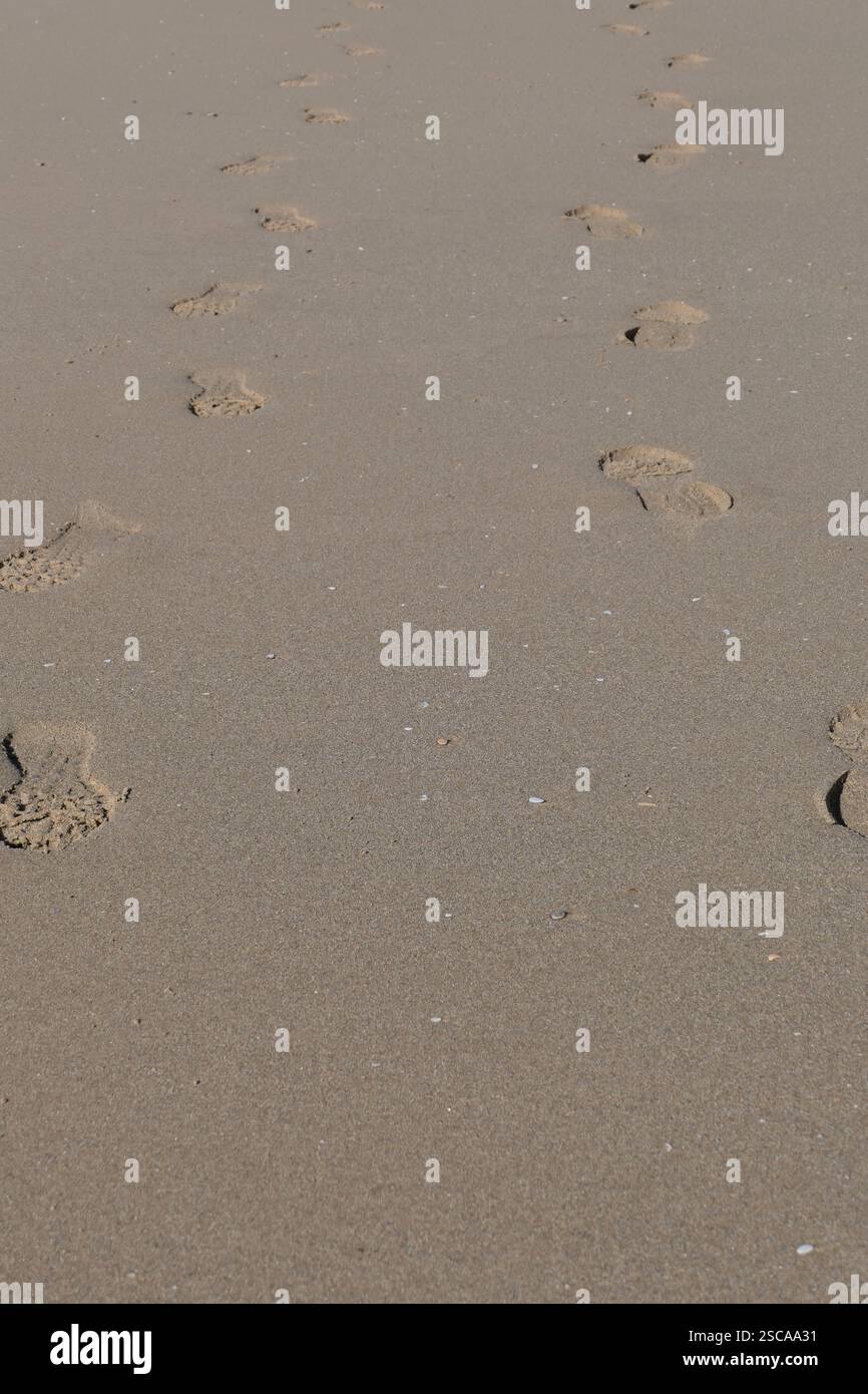 Footprints in the sand on the beach, closeup of photo Stock Photo - Alamy