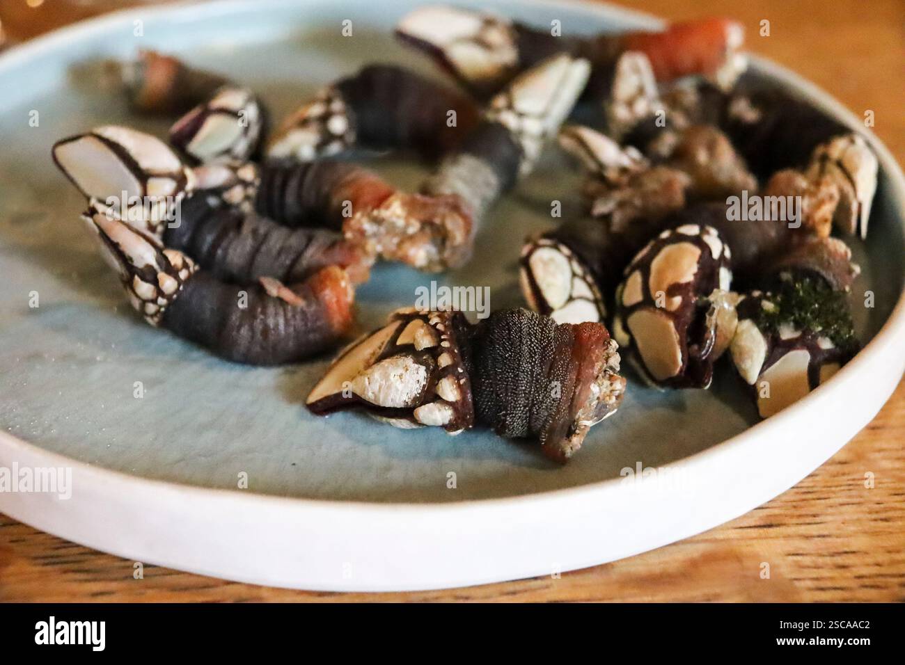 Plate of delicious cooked goose barnacles in Spain Stock Photo - Alamy