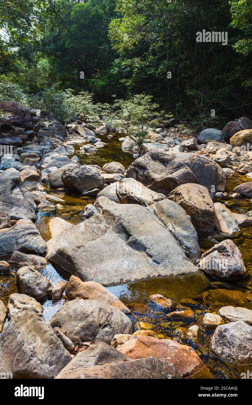 Stream in the tropical jungles of South East Asia Thailand Koh Chang ...