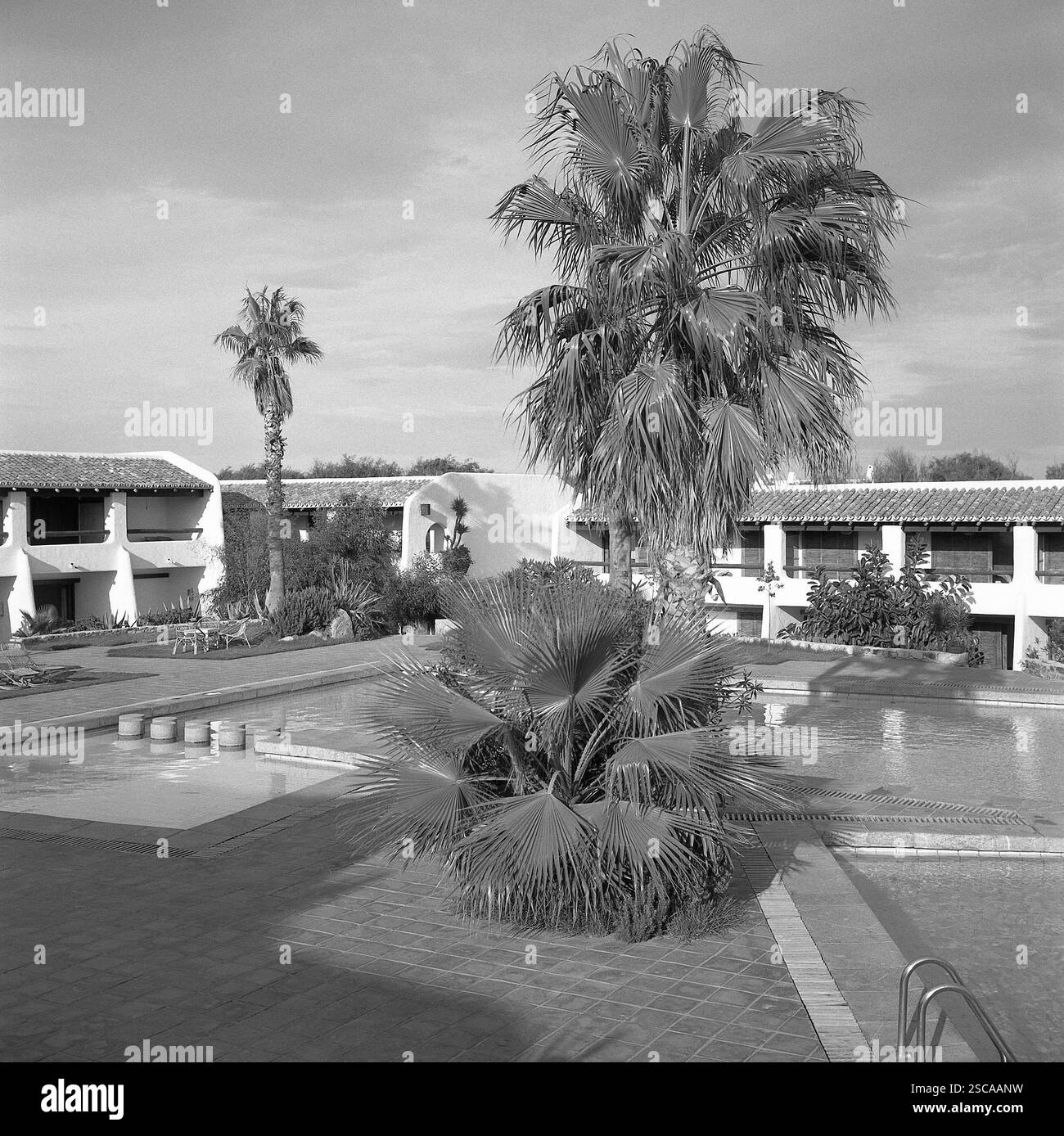 Palms and pool at the holiday resort Kabyla Karia in Morocco Stock ...