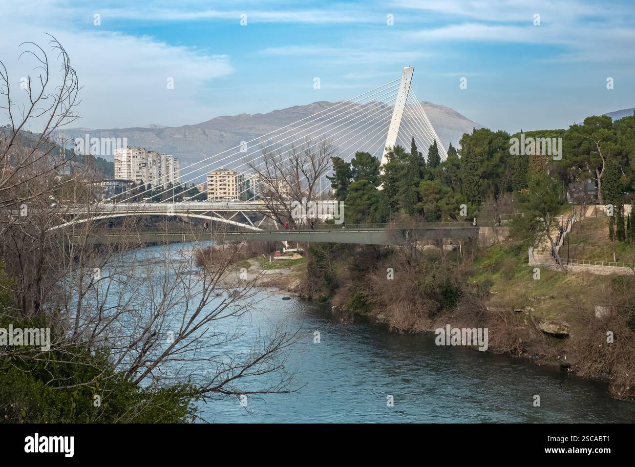 The Millennium Bridge is a cable stayed bridge. Millennium bridge over ...