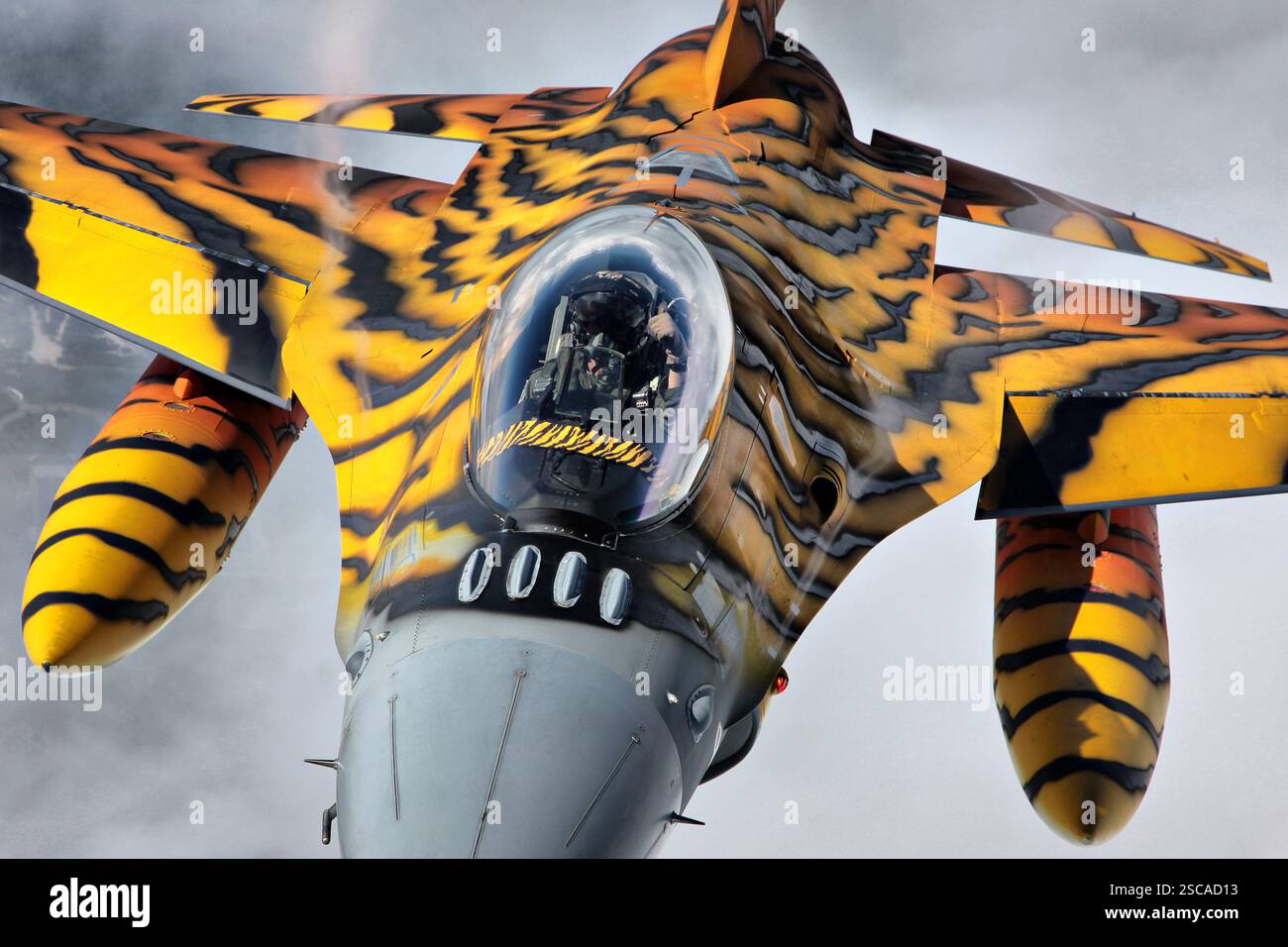 Belgian Air Force General Dynamics F-16 Fighting Falcon Tiger, equipped ...