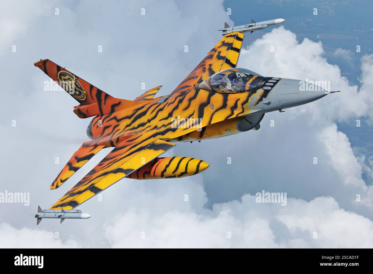Belgian Air Force F-16 Tiger, a multi-role fighter aircraft powered by ...