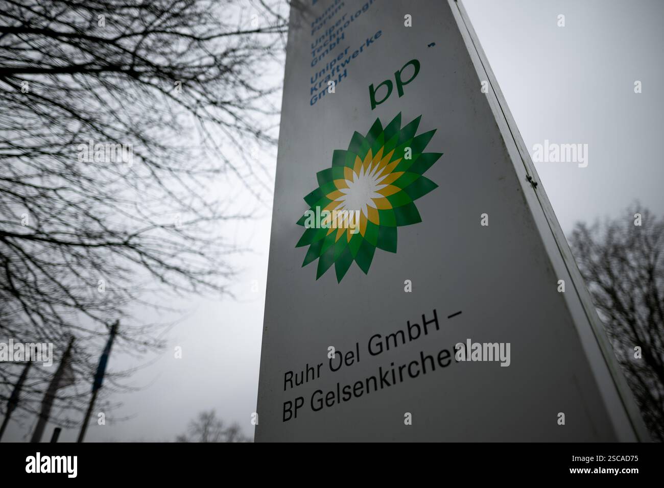 Gelsenkirchen, Germany. 06th Feb, 2025. The BP logo can be seen on a ...