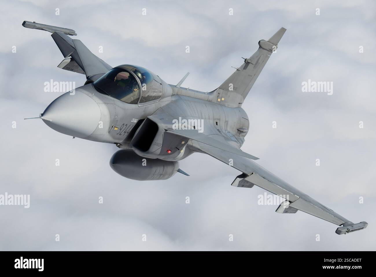 Czech Air Force Saab JAS 39 Gripen in flight, a Swedish-made multi-role ...
