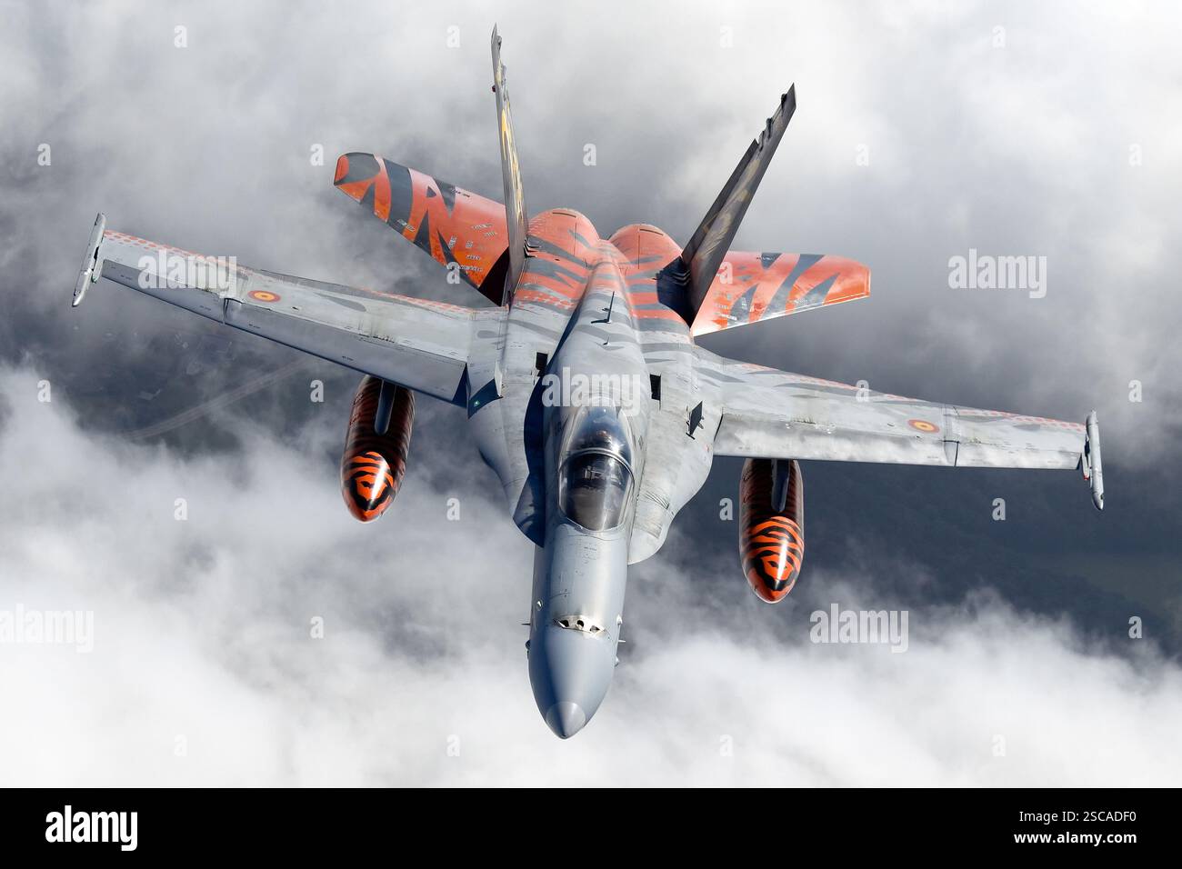 Spanish Air Force F/A-18 Hornet painted in Tiger Meet special livery ...
