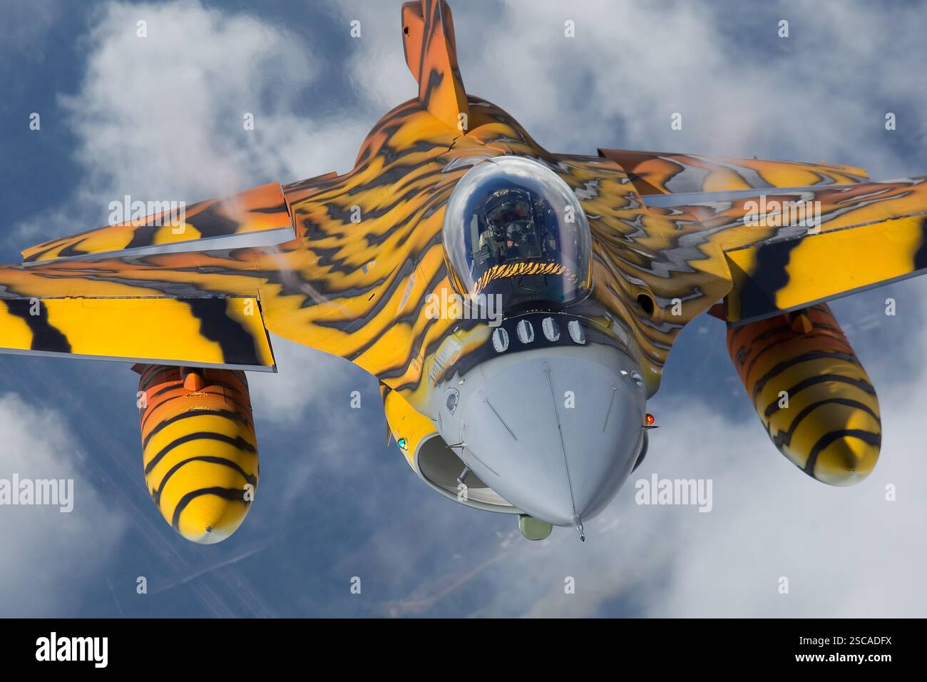 Belgian Air Force General Dynamics F-16 Fighting Falcon Tiger, equipped ...
