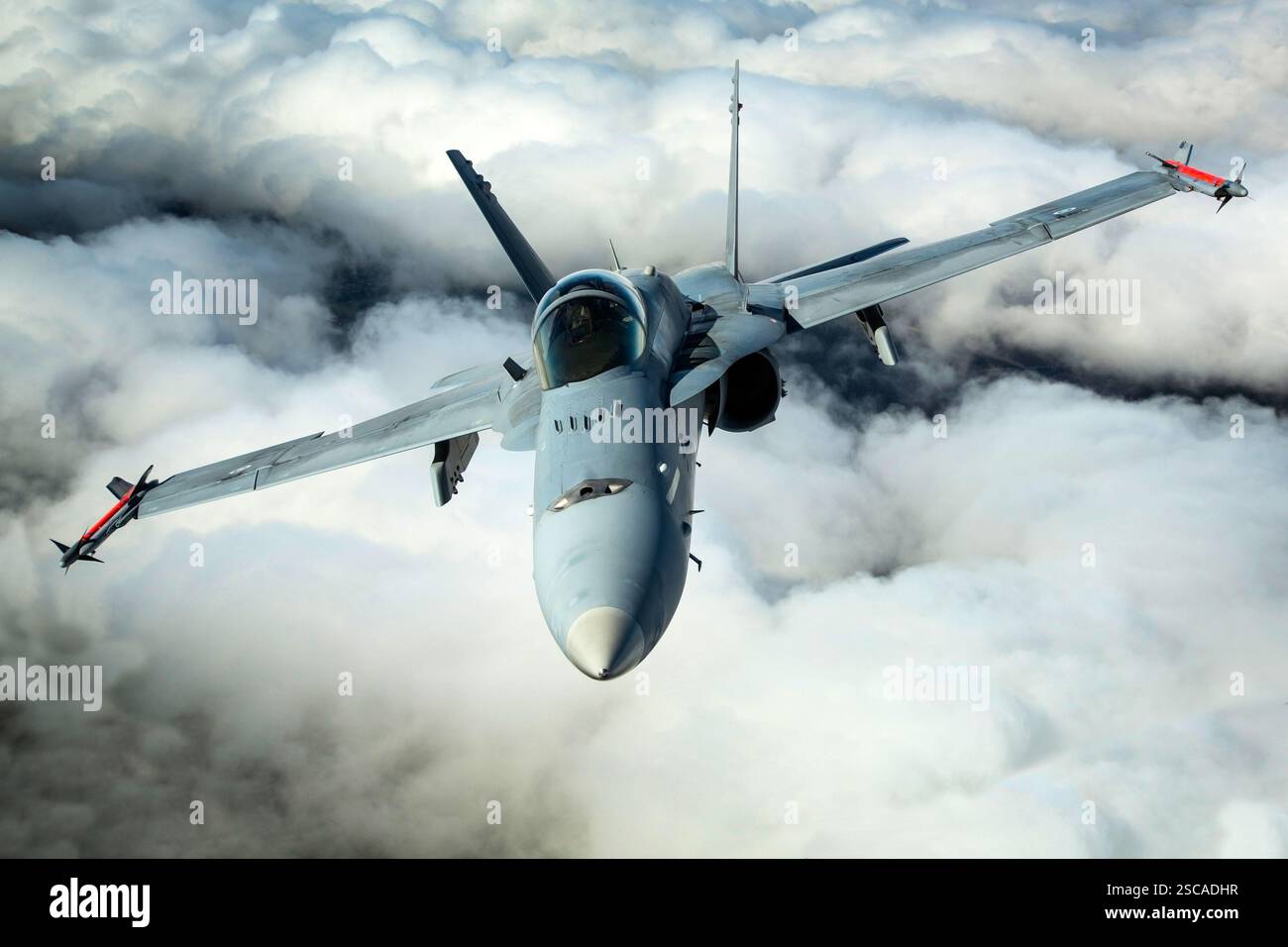 The Finnish Air Force's McDonnell Douglas F/A-18 Hornet is a versatile ...