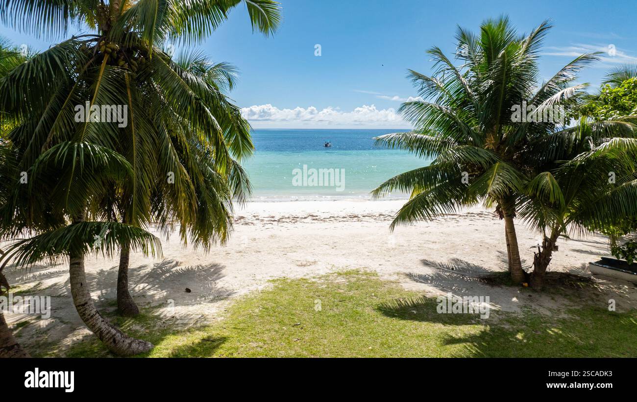 Tall palms cast shadows hi-res stock photography and images - Alamy