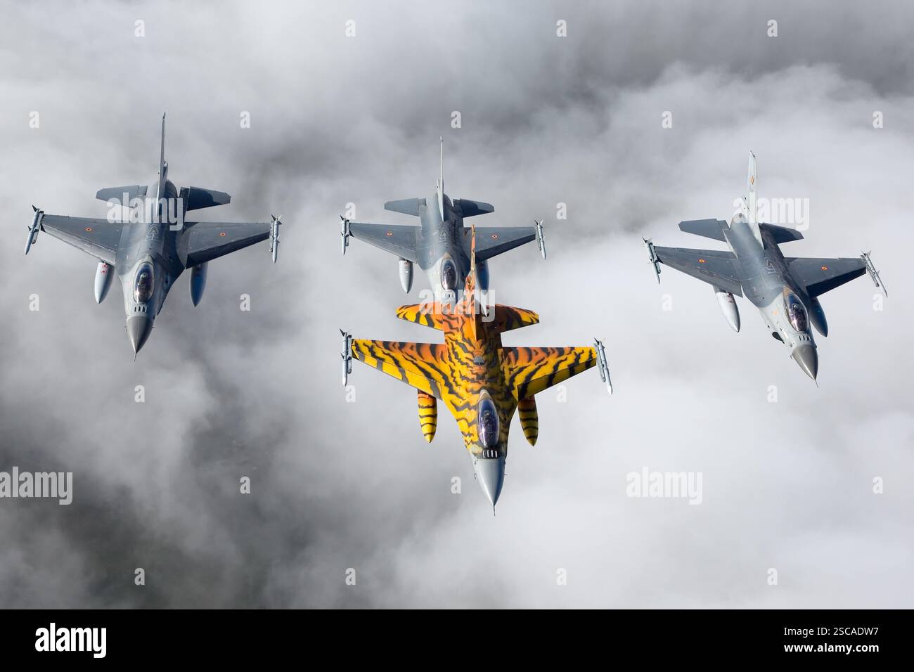 Belgian Air Force F-16 Tiger, performing a defensive maneuver. This ...