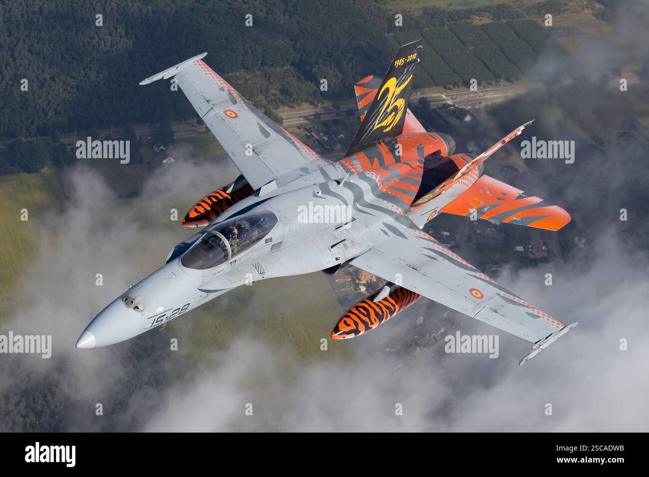 Spanish Air Force F/A-18 Hornet flying in a Tiger Meet livery during an ...