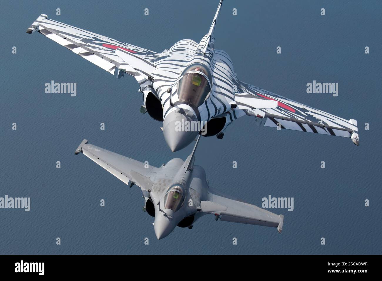 A French Navy Dassault Rafale performing aerobatic maneuvers during an ...