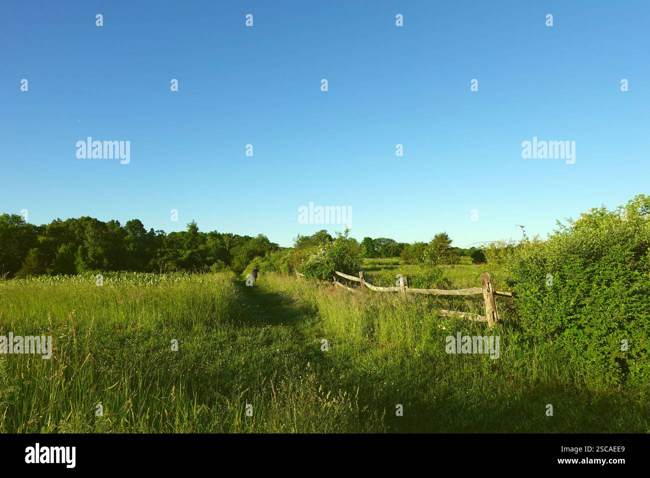 Castle Neck River Reservation in Summer Stock Photo - Alamy