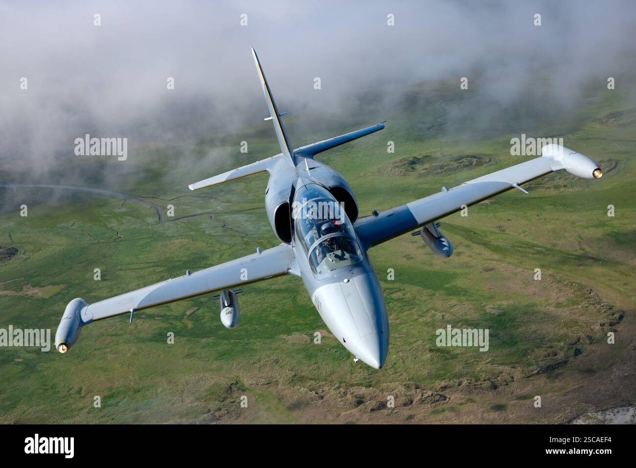 L-39 Albatros flying in a tight formation during an air-to-air photo ...