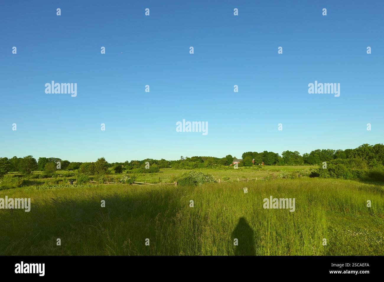 Castle Neck River Reservation in Summer Stock Photo - Alamy