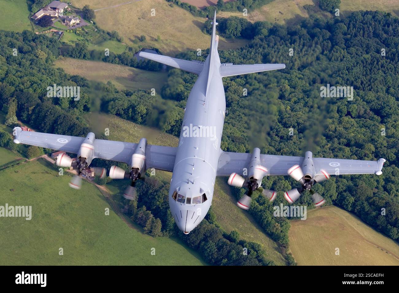 CP-140 Aurora of the Royal Canadian Air Force in flight. This versatile aircraft, powered by ...