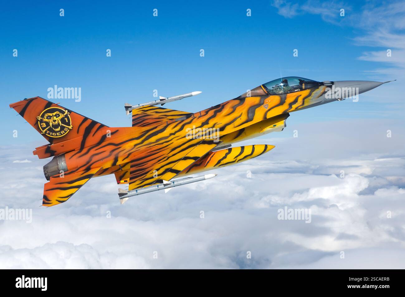The Belgian Air Force's F-16 Tiger, a highly maneuverable multirole ...