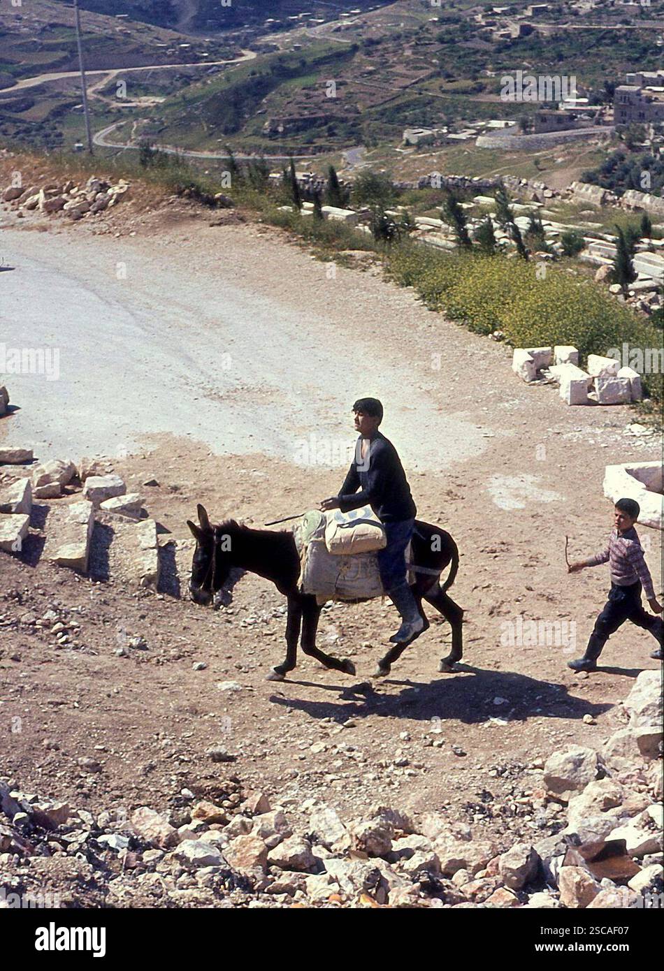 A man rides a donkey on the Golan. Syria/Israel 1968 [automated ...