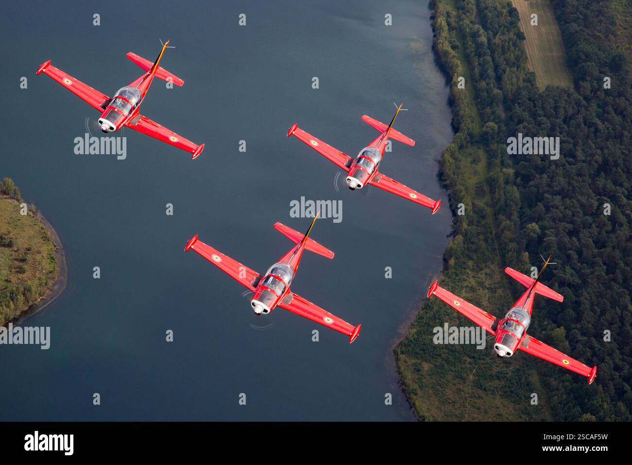 The Belgian Air Force Red Devils is a display team flying the F-16 ...