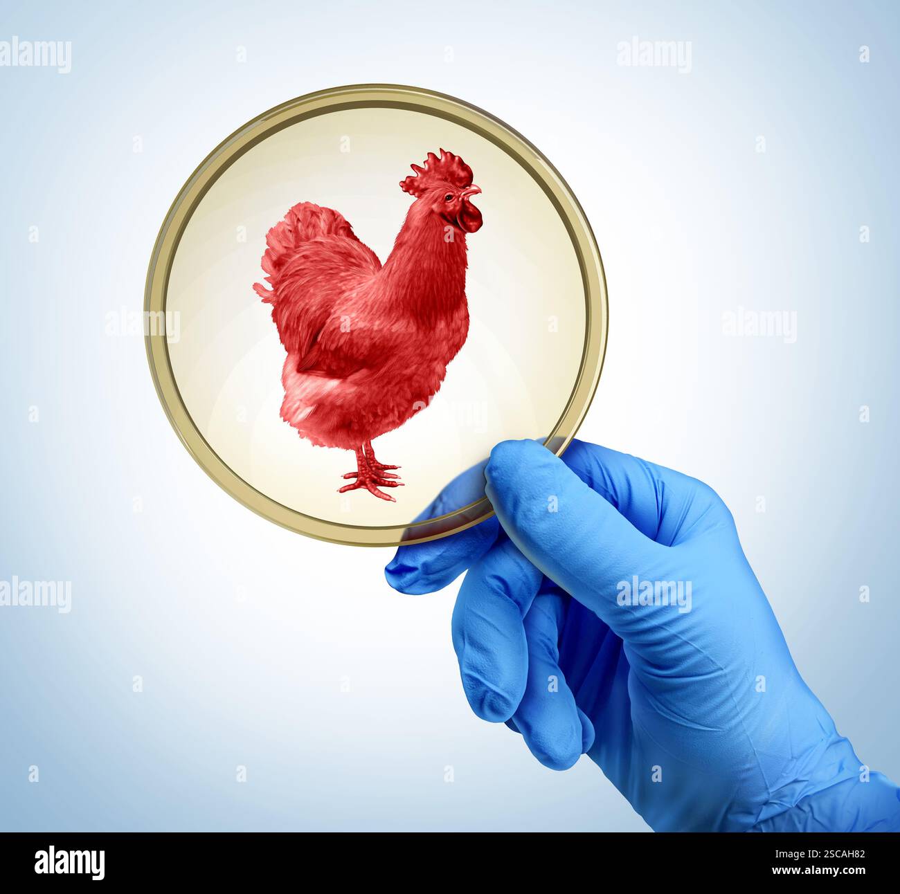 Lab Grown Meat as a Hand Holding A Petri Dish as a scientist or ...