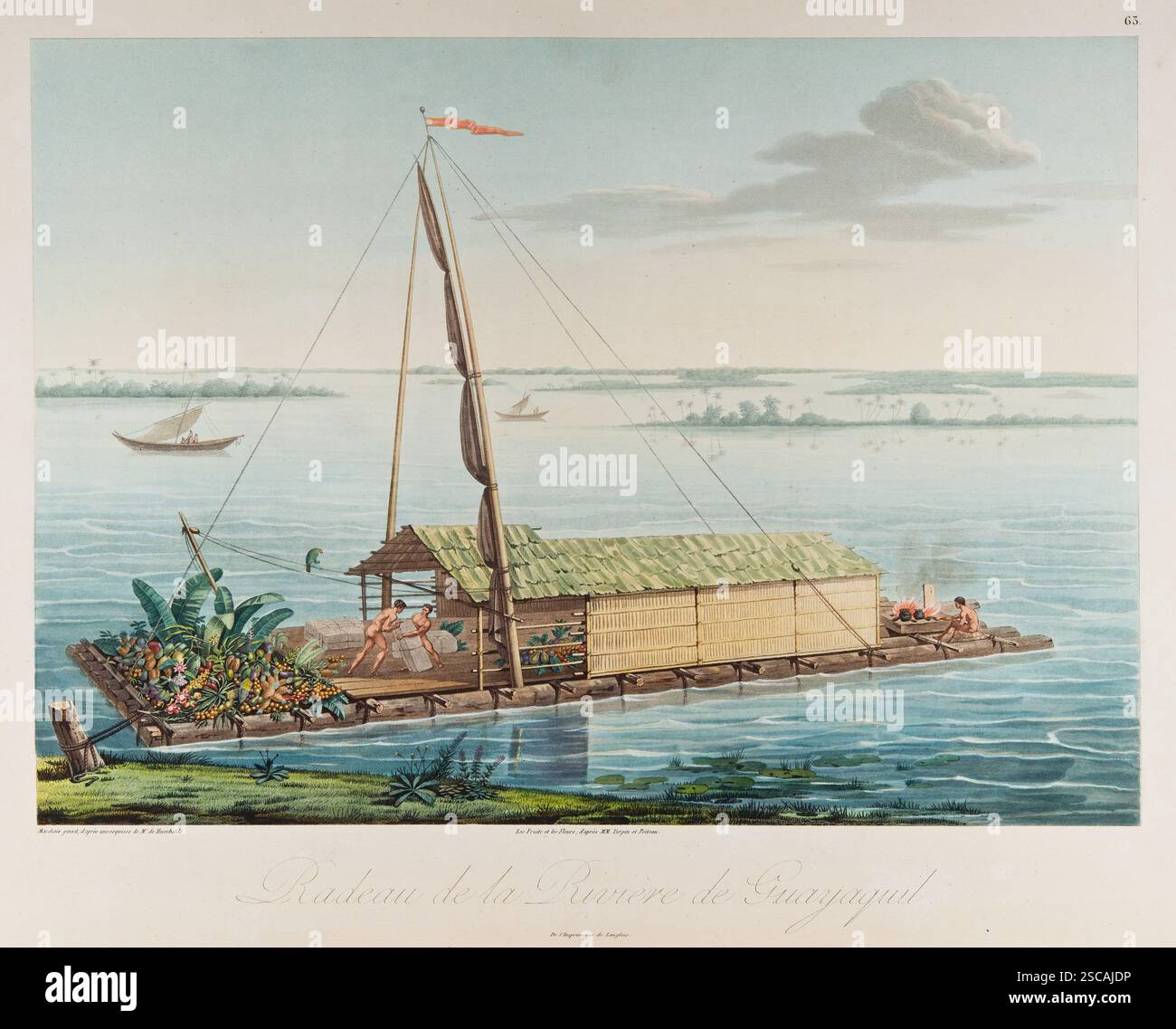 Raft loaded with harvested fruit and flowers on the Rio Guayas, Ecuador ...