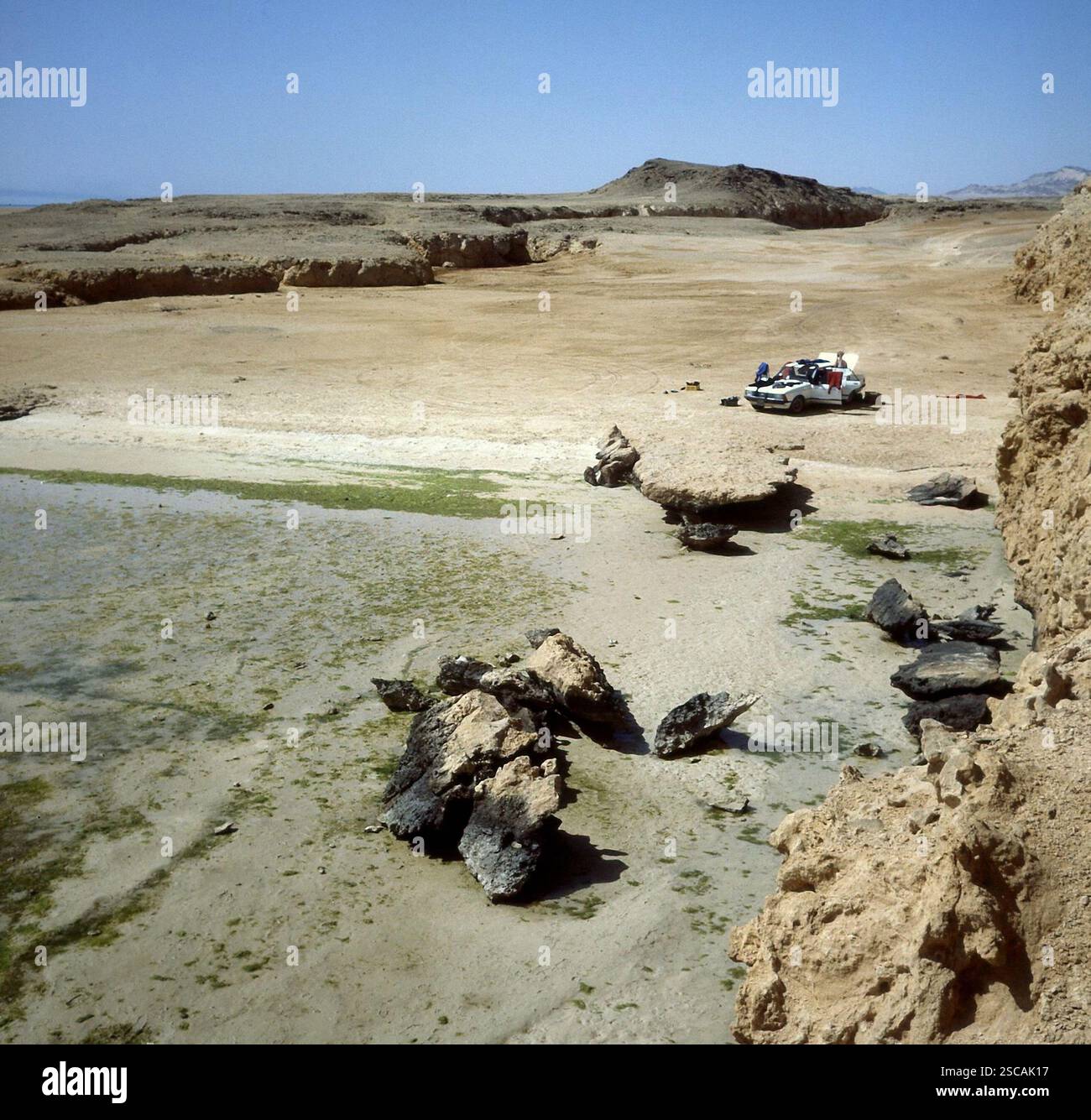 Diving in the Ras Muhammad National Park in South-Sinai Stock Photo - Alamy