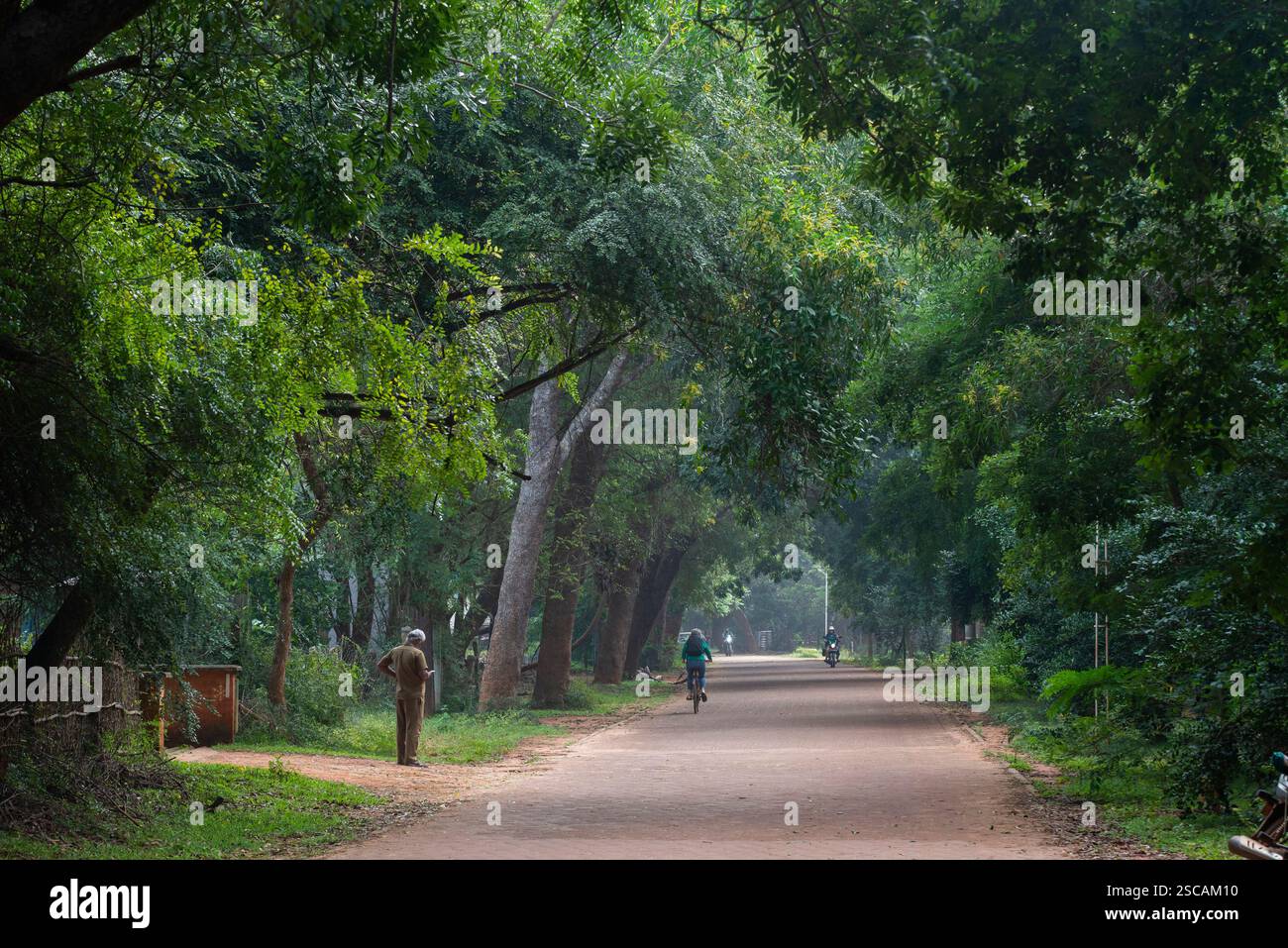 AUROVILLE, INDIA - January 2024: A road of Auroville before the city's ...