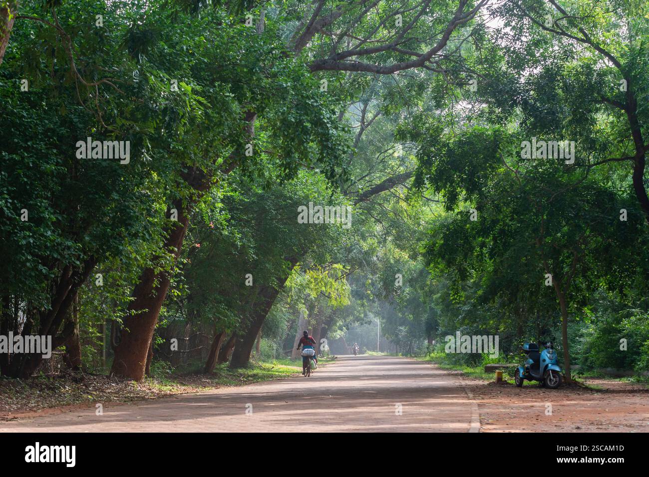 AUROVILLE, INDIA - January 2024: A road of Auroville before the city's ...