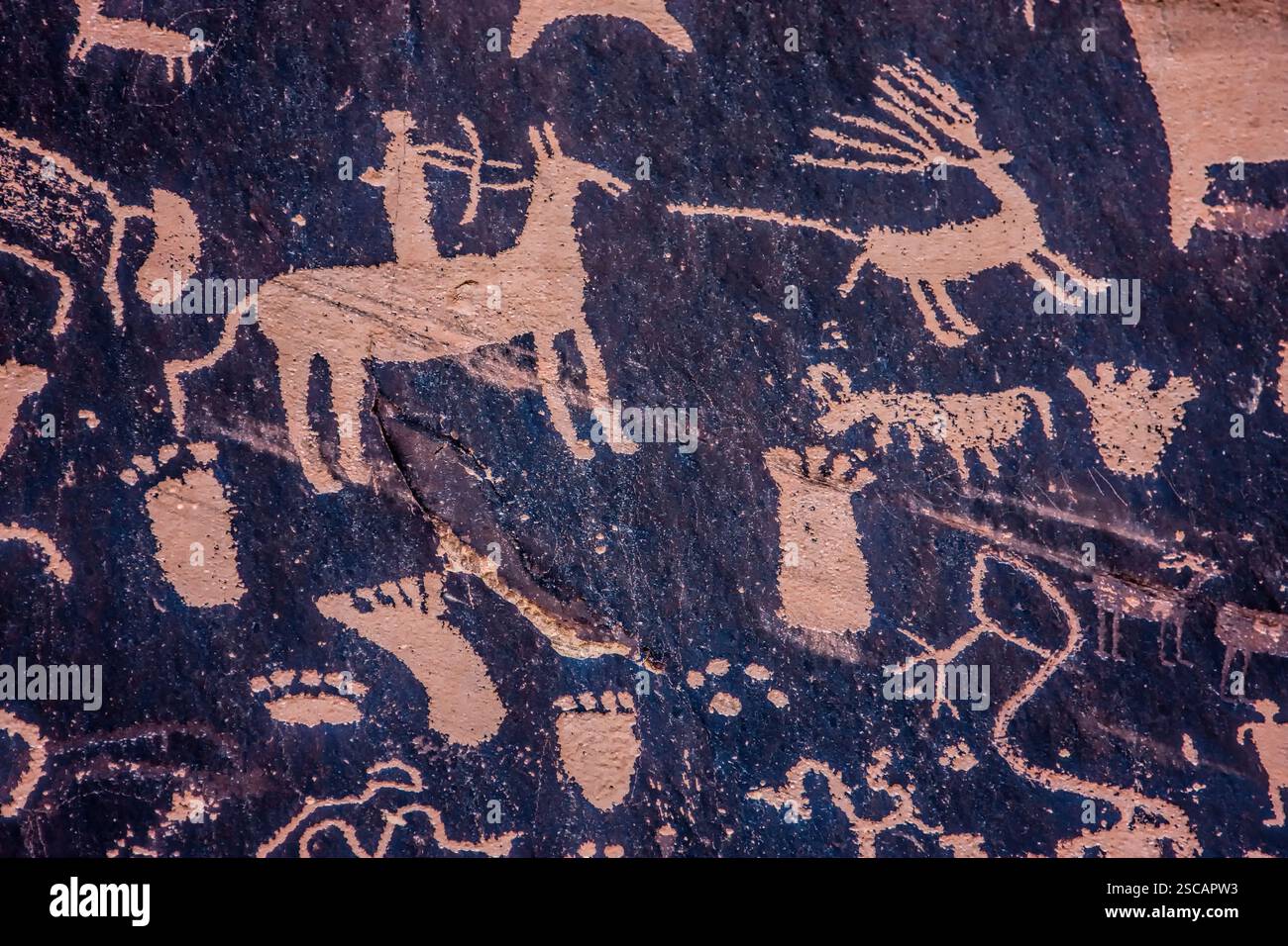 A wall with drawings of animals and people. A man is riding a horse. A ...