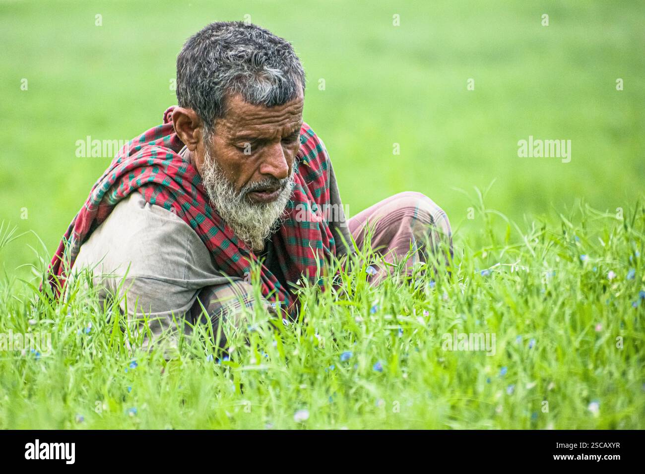 An old day labor Stock Photo - Alamy