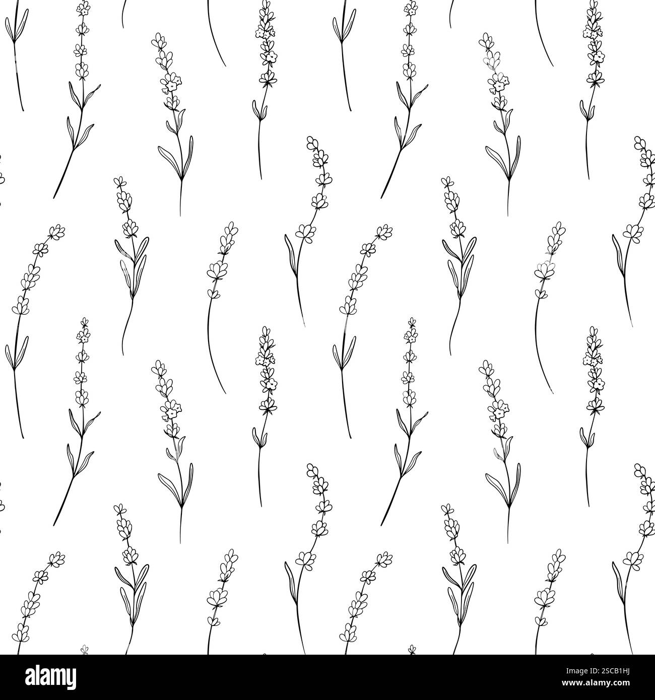 Seamless pattern of Lavender flower. Floral vector background with ...