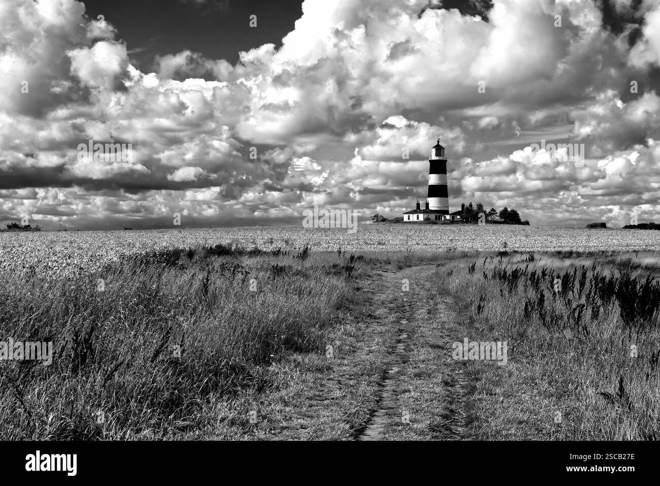 The path to the lighthouse Stock Photo - Alamy