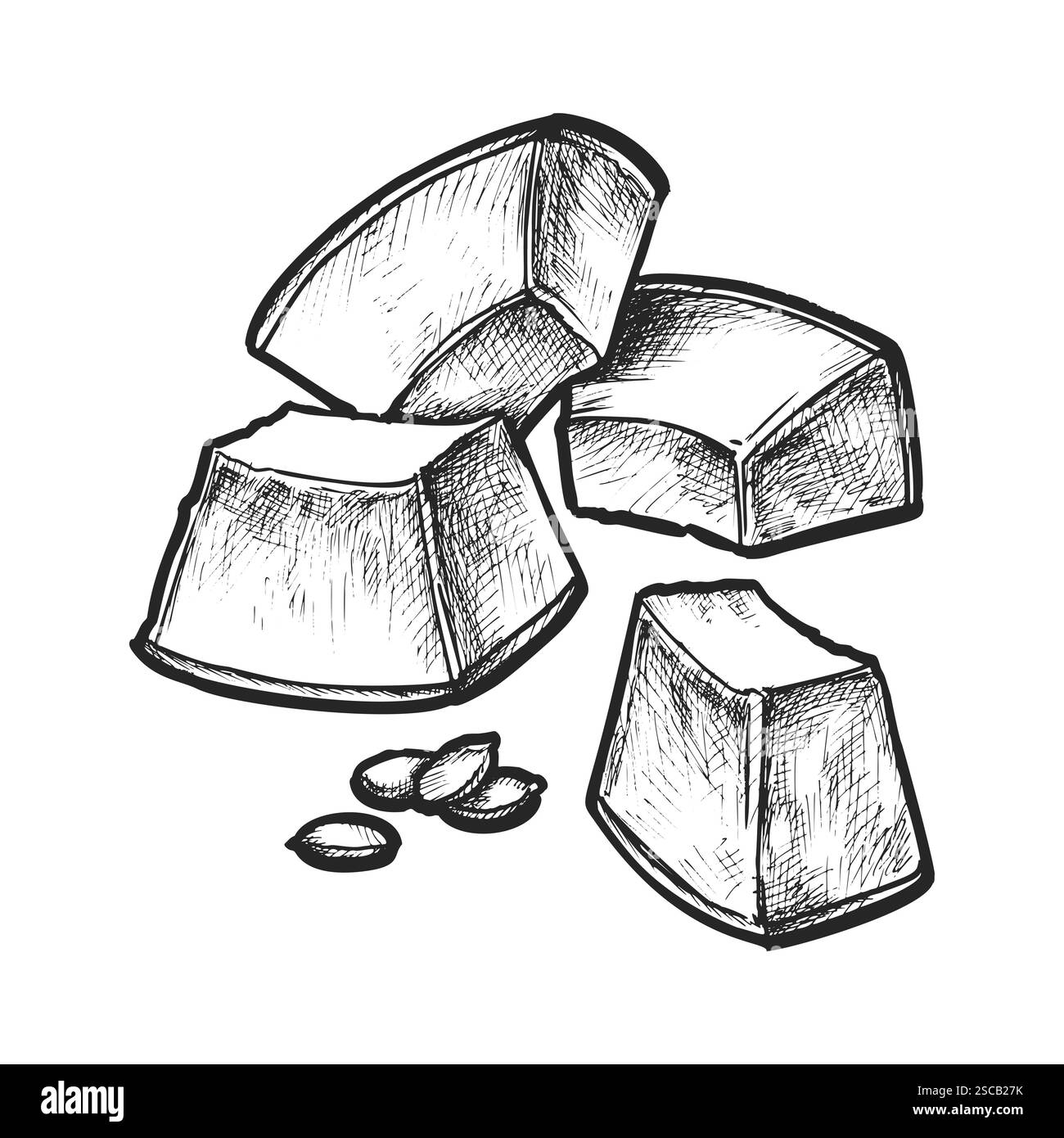 Vector sketch of melon pieces with seed. Sliced fruit vintage drawing ...