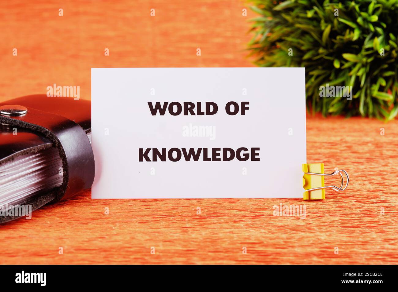 Exploring a world of knowledge in education, business, and finance ...