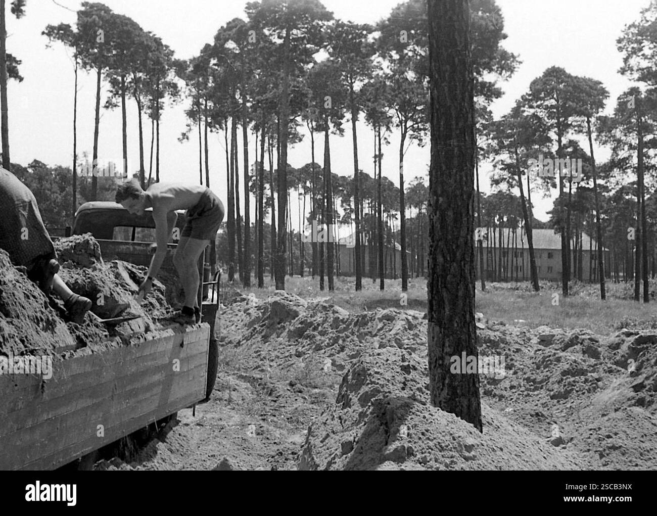 Volunteers of the Subbotnik at work in a forest in Briesen. [automated ...