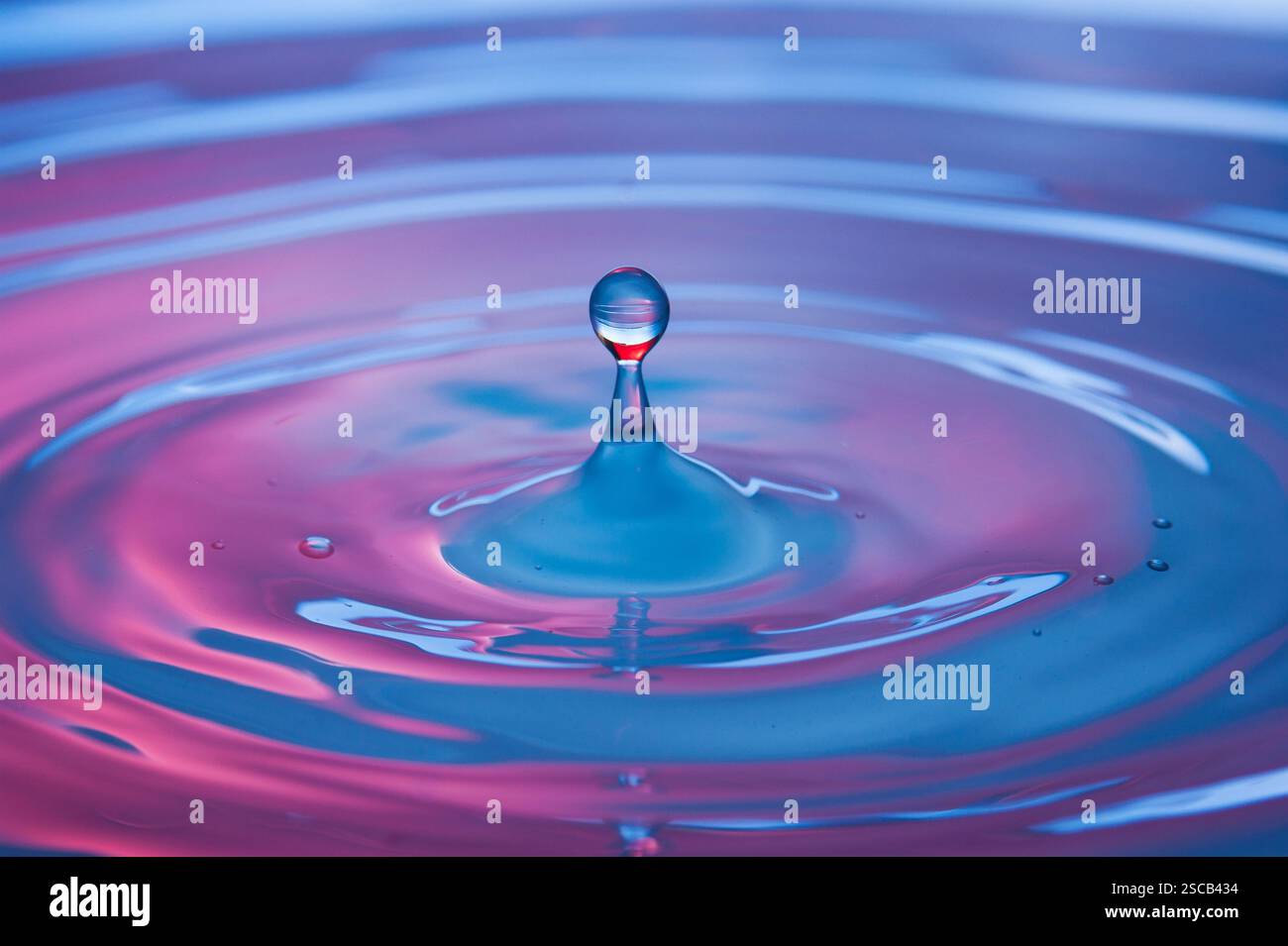 Water drop falling into water making a perfect concentric circles Stock Photo - Alamy