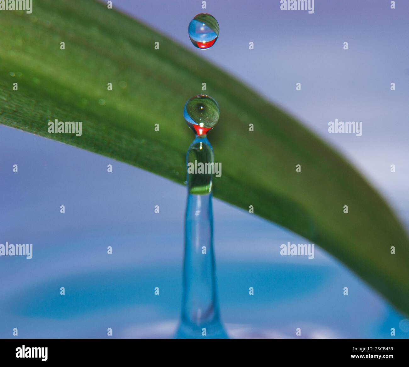 Water drop falling into water making a perfect concentric circles Stock Photo - Alamy
