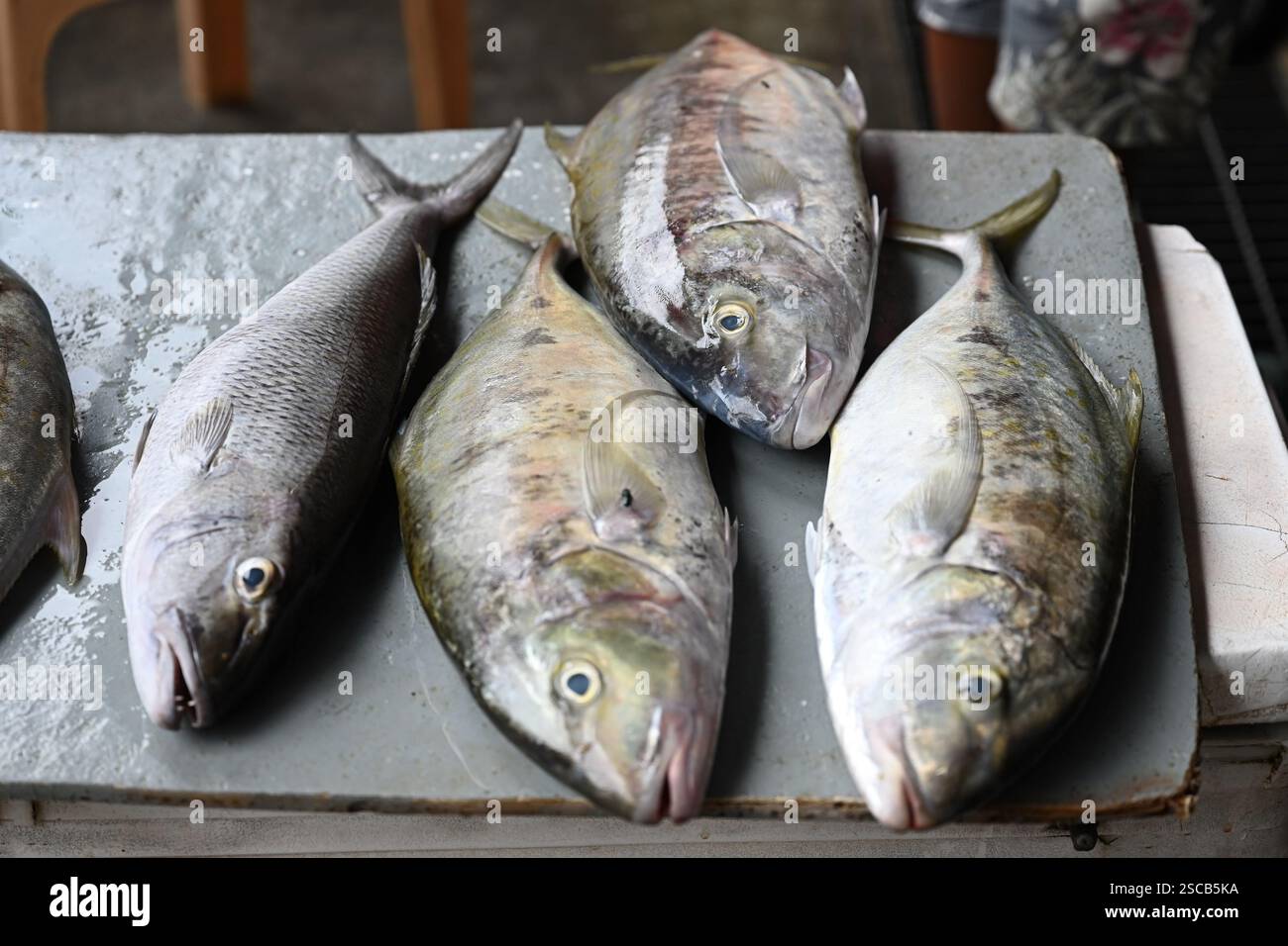 Freshly caught fish is sold at the local market in Victoria, capital of ...