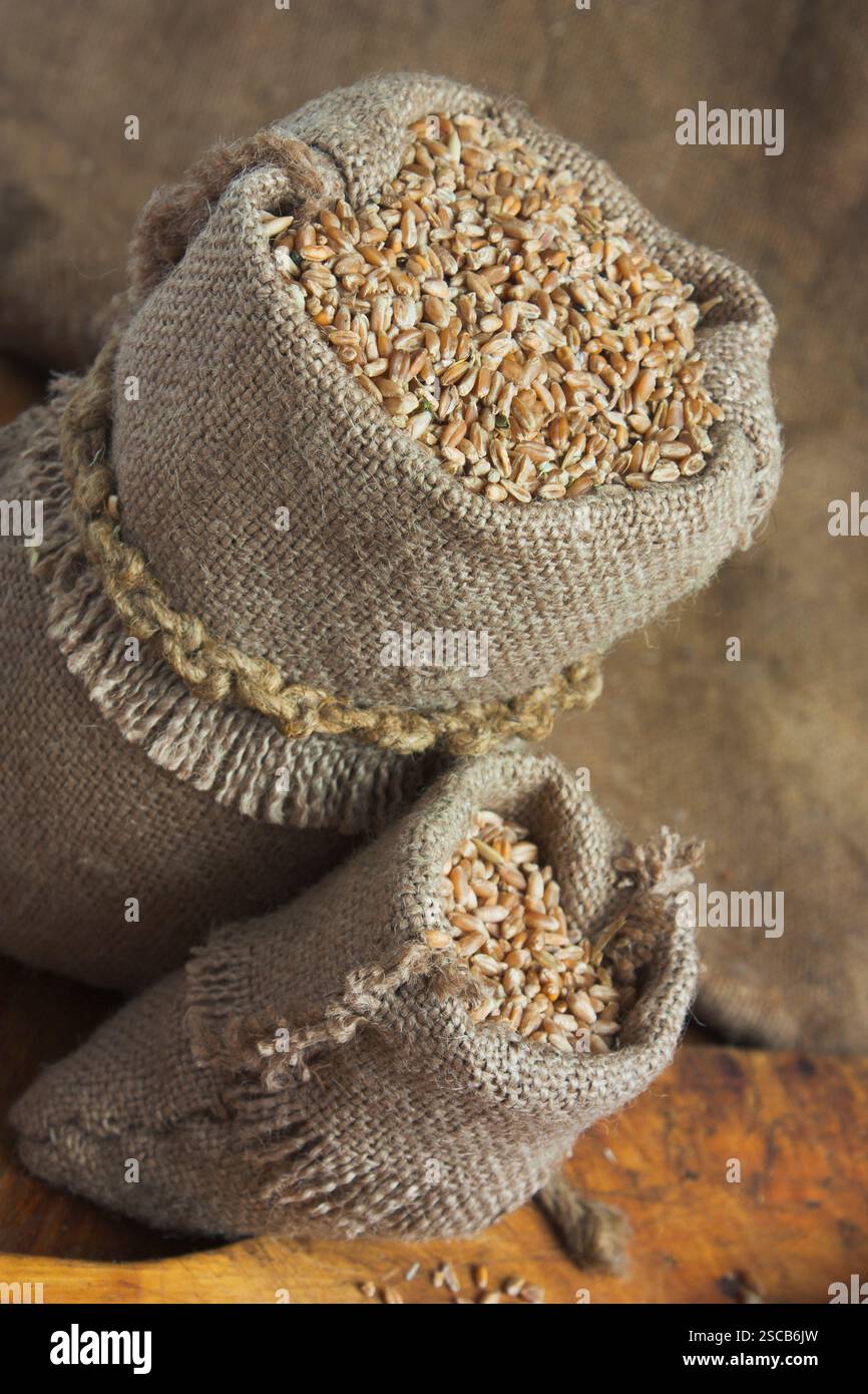 Still Life with a sack of wheat in the bakery Stock Photo - Alamy