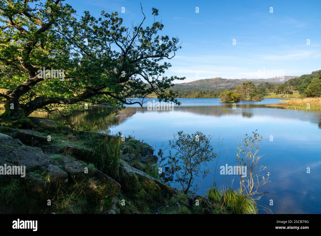 Autumn rydal water lake district hi-res stock photography and images ...