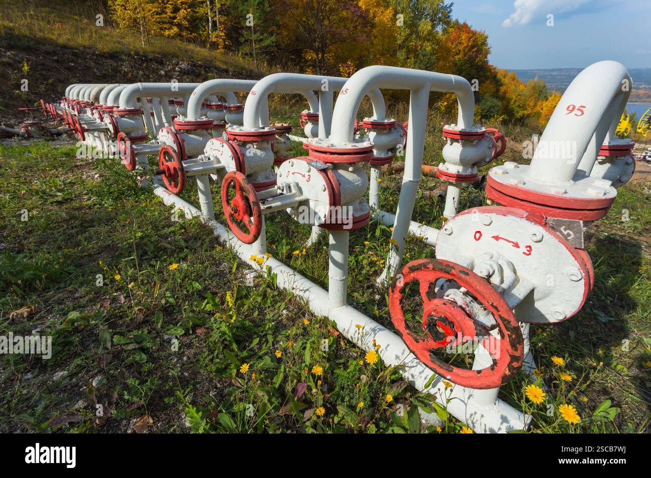 Oil Pump on a background of forest in Russia Stock Photo - Alamy